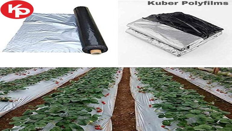 Mulch Film: Enhance Crop Yields and Soil Health | Agricultural ...